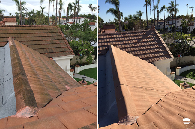 Our Professional Roof Cleaning Team Will Give Your Roof a Vital Refresh ...